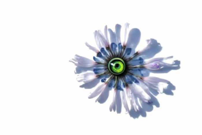 Online store :: eyelab