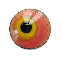 enamel eyes